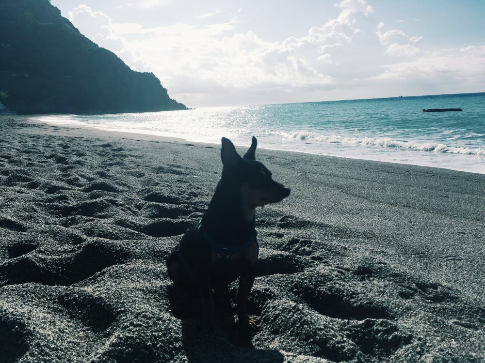 BLOG - Christina Kirsch Photography